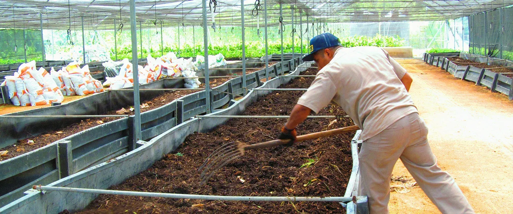 Conscious Harvesting | Le Blanc Spa Resorts®