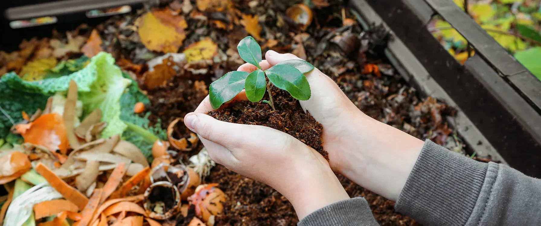 Conscious Harvesting | Le Blanc Spa Resorts®