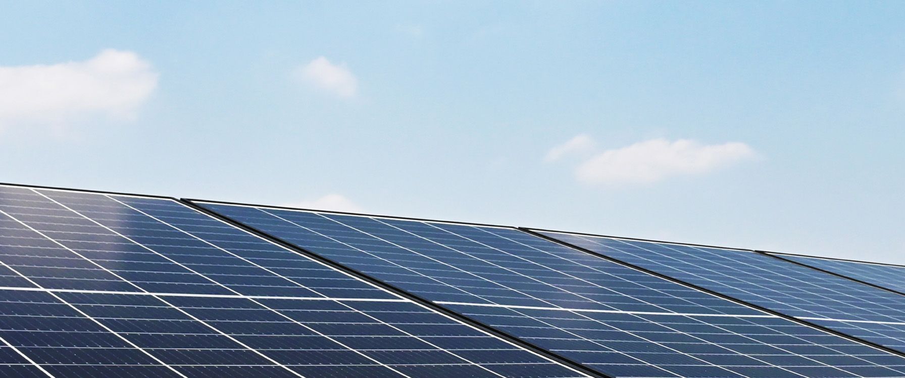 Earthcheck Bronze Level Award | Le Blanc Spa Resorts®