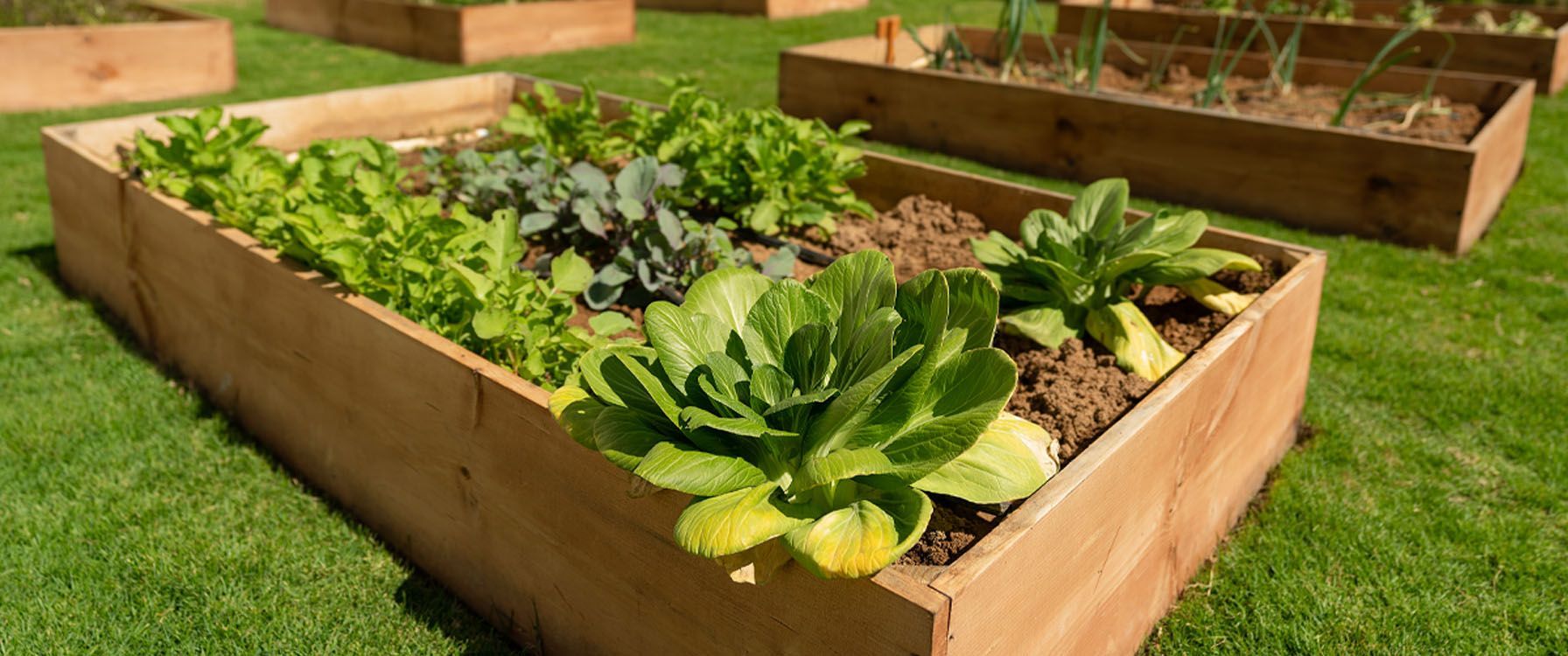 Earthcheck Bronze Level Award | Le Blanc Spa Resorts®